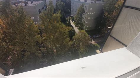 Sieradz Ulica Polna Czteroletni Ch Opiec Sta W Otwartym Oknie Na