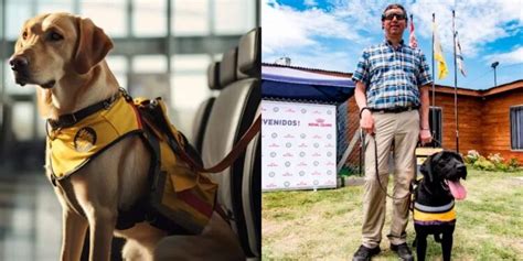 D A Mundial Del Perro Gu A