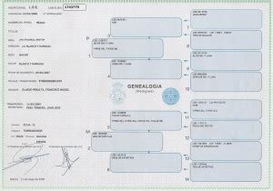 Qué es el Pedigree No sabes nada