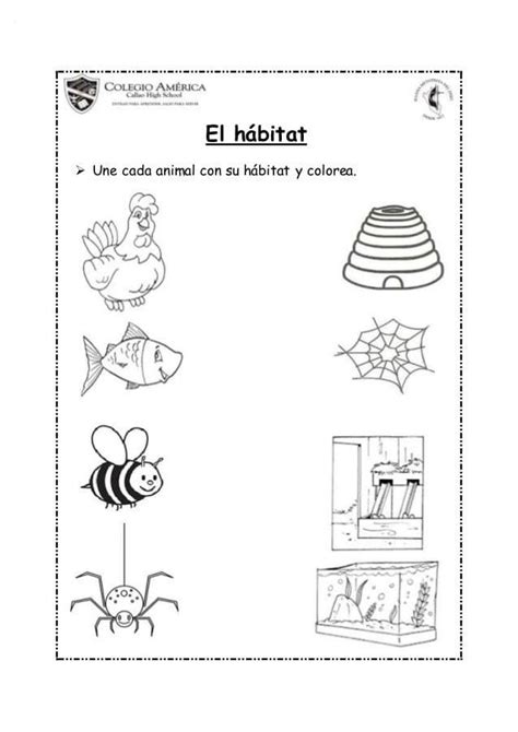 Pin De Silvia Cruz En Education Actividades De Aprendizaje