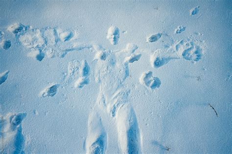 Naked Man Is Lying On Cold Winter Snow By Stocksy Contributor Ivan