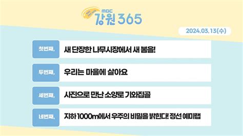 강원365 2024 03 13 수 새 단장한 나무시장에서 새 봄을 우리는 마을에 살아요 사진으로 만난 소양로 기와집골 지하