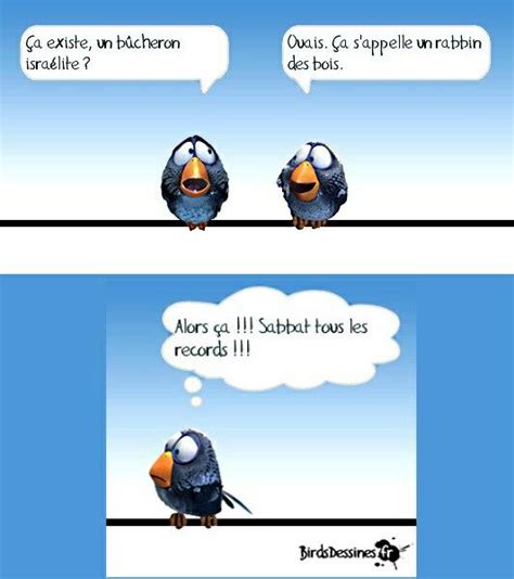 Pingl Sur Humour Image Humour Humour Oiseaux Dessin Humour
