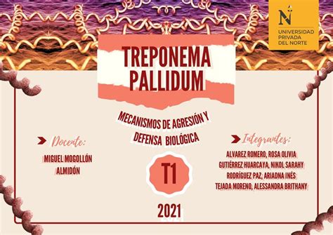 Treponema Pallidum Alessandra Tejada Moreno Udocz