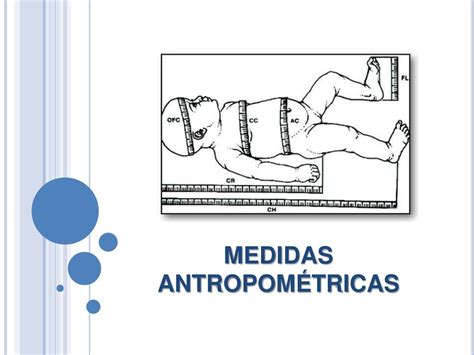 Quais São As Medidas Antropométricas REVOEDUCA