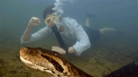 World S Largest Snake Species Discovered In Amazon Rainforest Viral