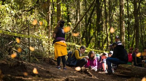 Recomendaciones Para Visitar Los Santuarios De La Mariposa Monarca