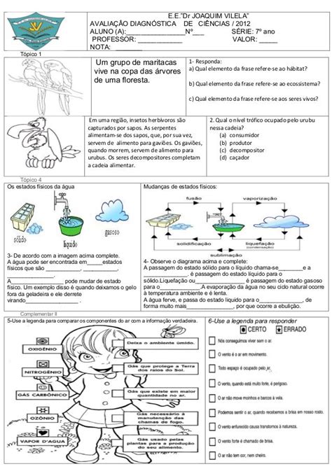 Prova diagnóstica 7º ano ciencias Ciencias Aula de ciências Planos