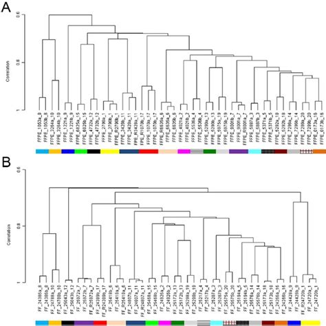 Unsupervised Hierarchical Clustering With The Most Informative 5444