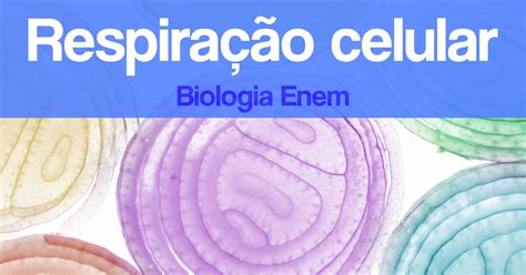 Respiração celular o que é como funciona e as três fases