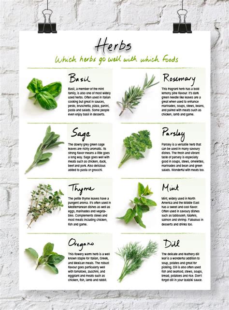 Quick Reference Herb Chart Dabbles Babbles
