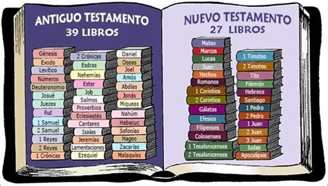 Clasificación de los LIBROS de la BIBLIA LISTA RESUMEN Books