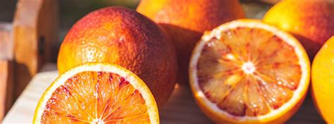 Todos Los Tipos De Naranjas Naranjas Quique