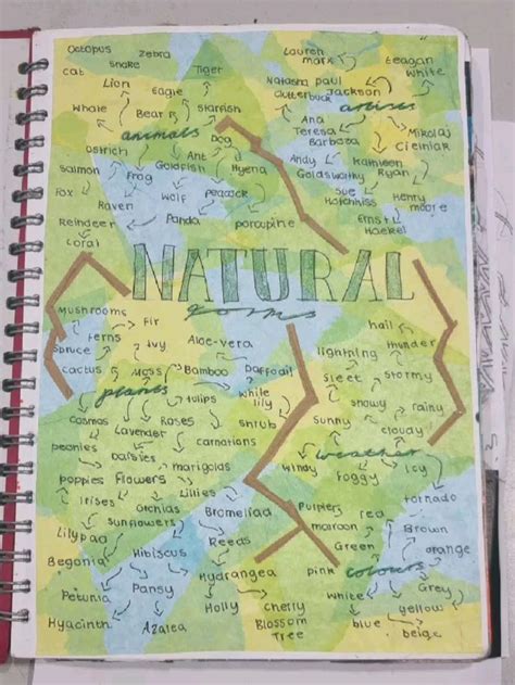 GCSE ART Natural Forms Mindmap I 2024