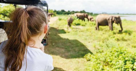 Weekender Safari Experience Soul Sri Lanka Tour Company In Colombo
