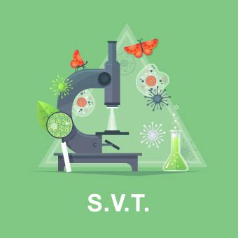 Présentation des SVT au collège Simone Veil