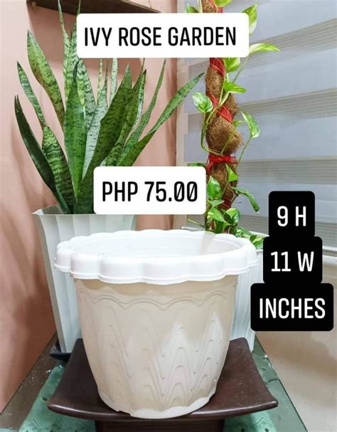 Plastic Pots By Ivy Rose Garden Furniture Home Living Gardening