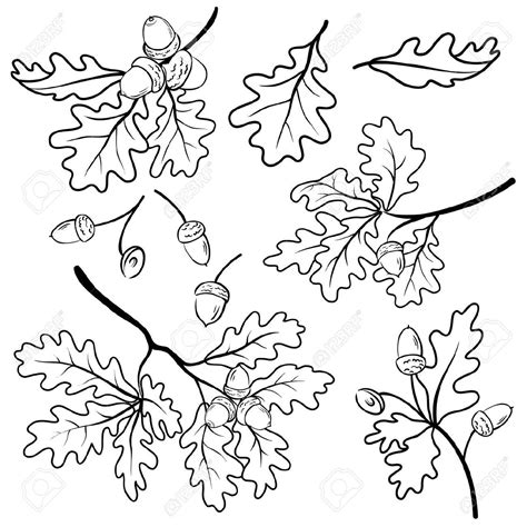 Coloriage Feuille De Chene Dessins de Automne à colorier