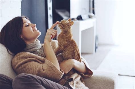 Por qué mi gato me sigue a todas partes