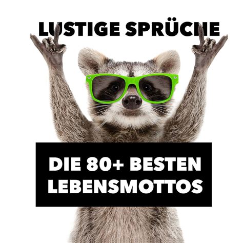 Lustige Sprüche Lebensweisheiten mit einem Augenzwinkern