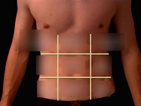 Abdominal Regions Diagram Quizlet