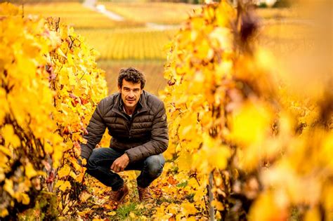 2019 Champagne Extra Brut 1er Cru Les Coupés Franc de Pied Nicolas