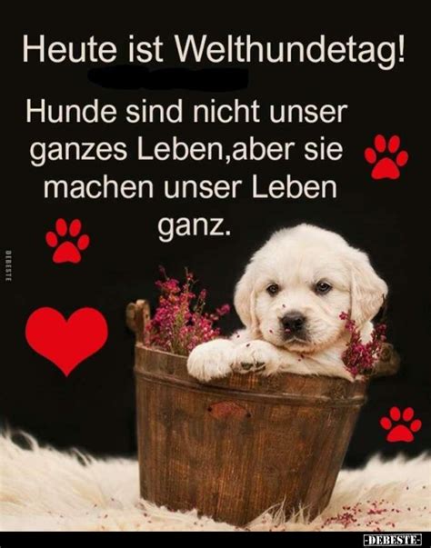 Heute Ist Welthundetag Hunde Sind Nicht Unser Ganzes Leben Aber Sie