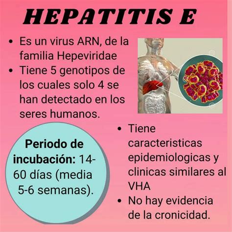 Hepatitis E MARYURI LISBETH UDocz