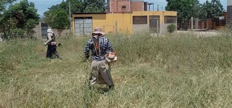 Las 24 Horas de Jujuy Continúan los trabajos de desmalezado y