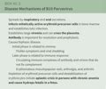 Parvovirus B Naked Dna Viruses Flashcards Quizlet
