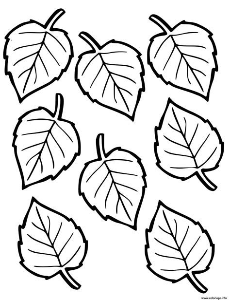 Coloriage Feuilles Autonme Arbre Hetre Dessin Feuille Automne à imprimer