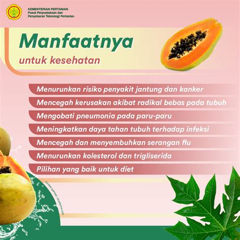 Pepaya Kandungan Nutrisi Dan Manfaatnya