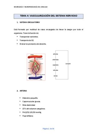 Apuntes de Teoría e Historia del Diseño Ii