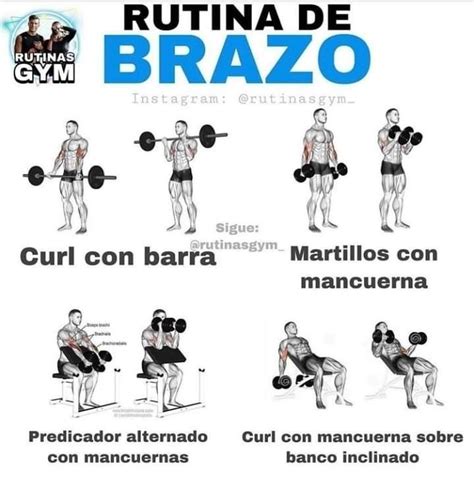 Pin De Carlos Espada Diaz En Tablas Ejercicios 22 Rutina De Brazo Gym