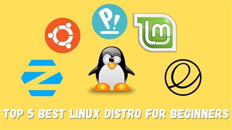 top 5 best linux distro for beginners in 2023 c s point