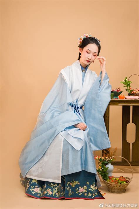 Hanfu Chinese Ming Dynasty Traditional Clothing Hanfu Hairstyle