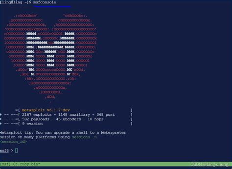 使用tmux解决远程vps运行msf掉线 termux运行msf csdn博客