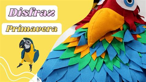 Diy Disfraz De Guacamaya Disfraz De Pajaro YouTube