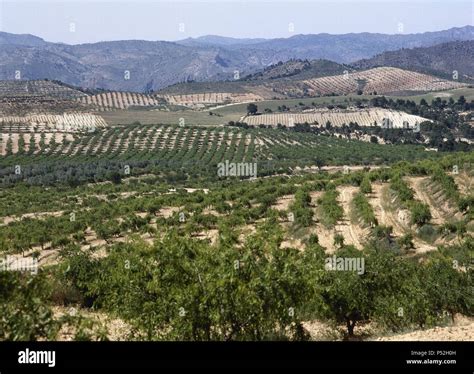 Diferentes Cultivos Hi Res Stock Photography And Images Alamy