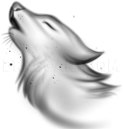 25 Easy Wolf Drawing Ideas How To Draw A Wolf Blitsy