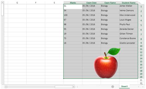 Right To Left Direction JavaScript Spreadsheet SpreadJS