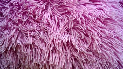 Pedazo Lanudo Peludo De Una Cubierta De La Almohada En Color Del Rosa