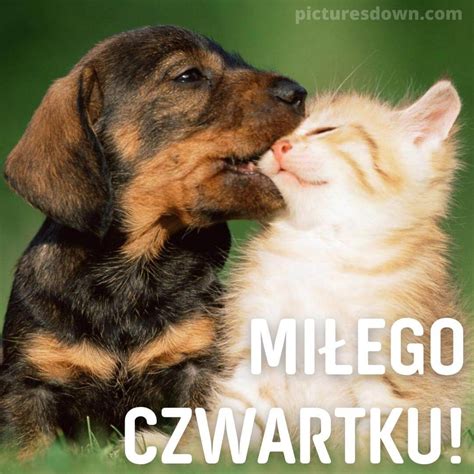 Dzie Dobry W Czwartek Kartki Na Mi Y Czwartek Z Napisami