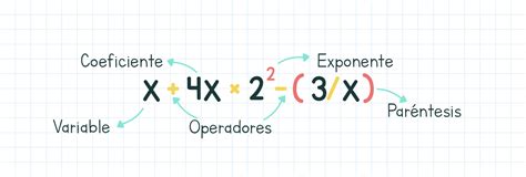 Qué es una expresión algebraica y 10 ejemplos Apolonio es