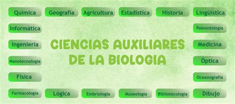 Las Ciencias Auxiliares De La Biolog A Principales Y Secundarias