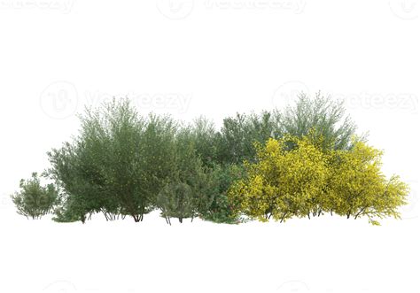 Realistic Foliage Isolated On Transparent Background 3d Rendering