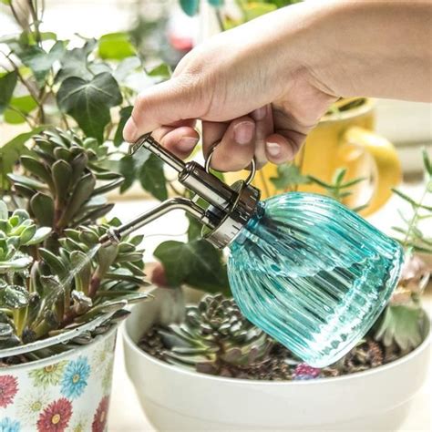 VGEBY Vaporisateur en verre pour plantes rétro avec pompe en plastique