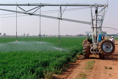 Existen Diferentes Sistemas De Riego En La Agricultura Servicio