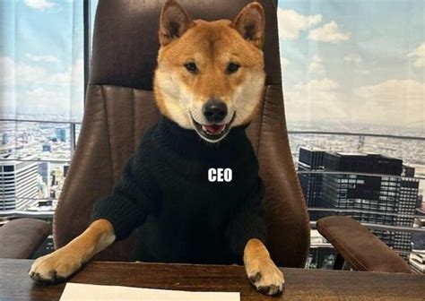 Musk Presenta A Su Perro Floki Como El Nuevo Director Ejecutivo De