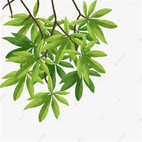手绘树枝png素材图片免费下载 千库网